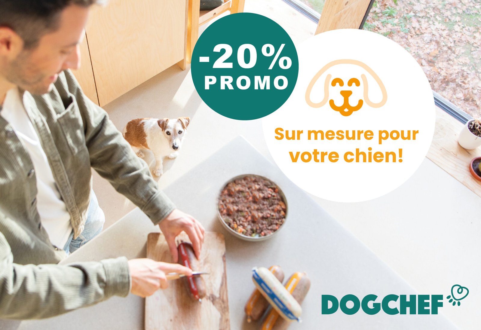 Pelade du chien : Symptômes, Causes, Traitements